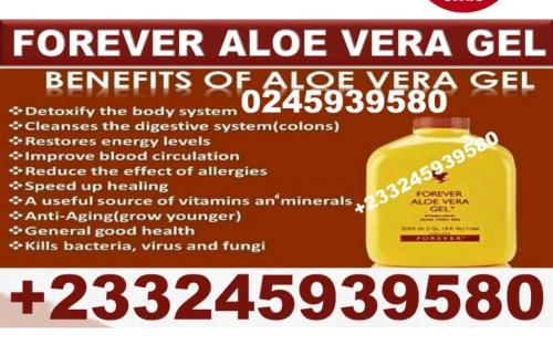 Forever Aloe Vera Gel | GhanaDeal Classified ads Trader & Marketplace ... Forever Aloe Vera Gel | GhanaDeal Classified ads Trader & Marketplace ...